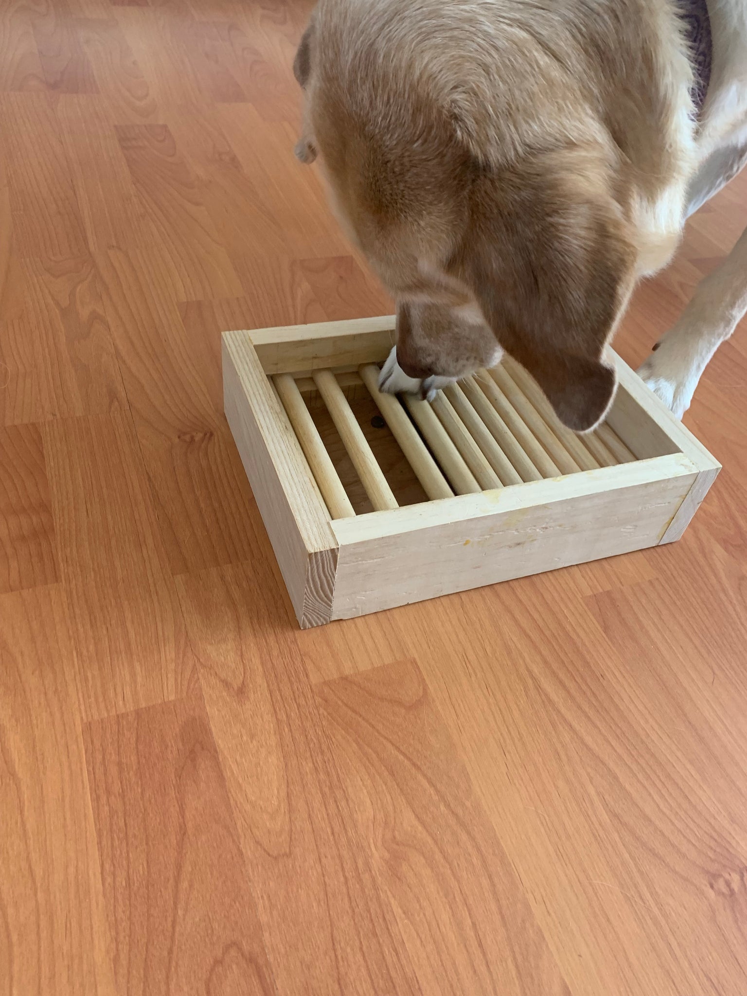 Pet Treat Puzzle Toy & Brain Stimulation for Dogs – JTWoodworks