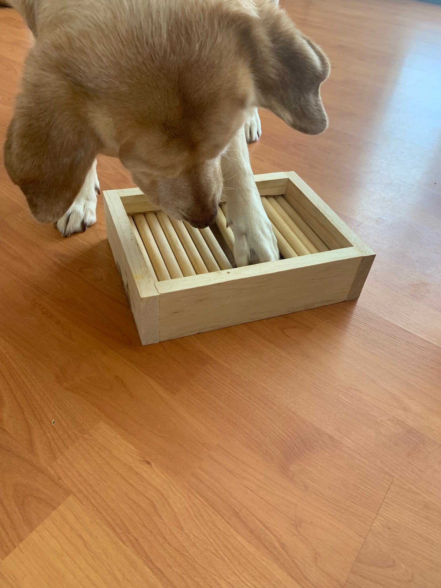 Pet Treat Puzzle Toy & Brain Stimulation for Dogs – JTWoodworks