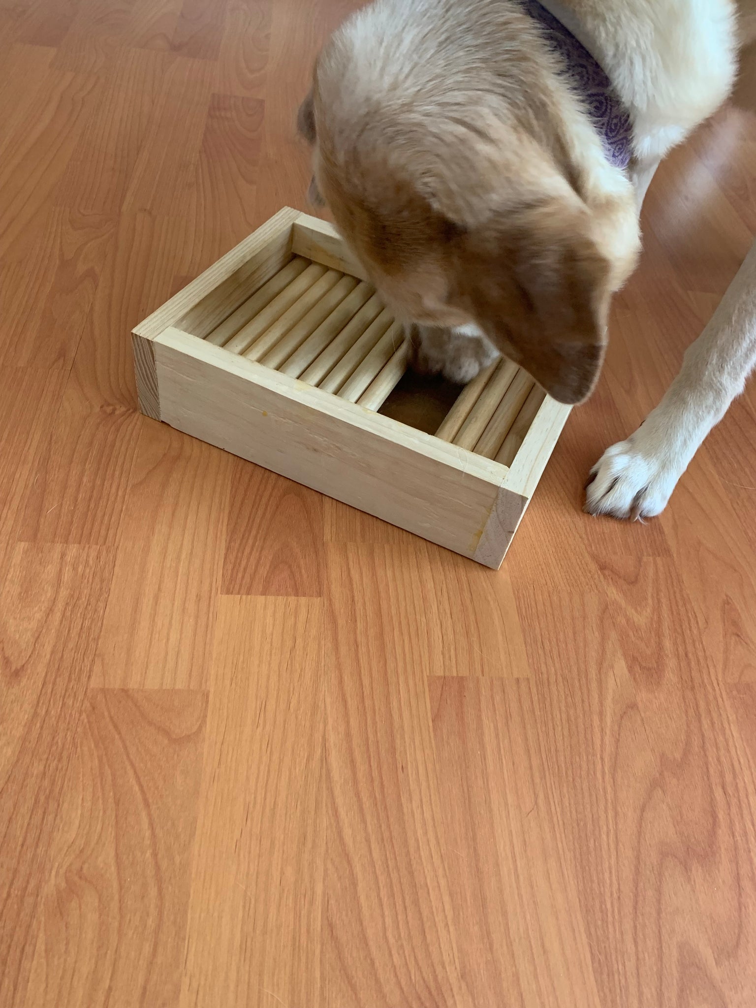 Pet Treat Puzzle Toy & Brain Stimulation for Dogs – JTWoodworks